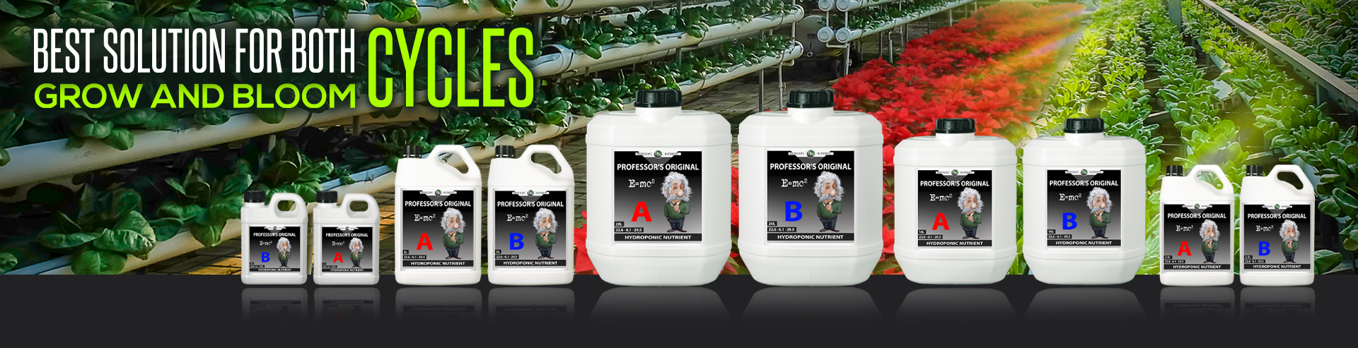 Welcome to Professor’s Nutrients - Professor's Nutrients