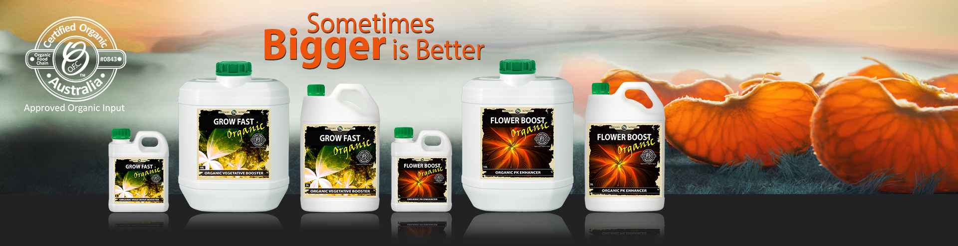 Welcome to Professor’s Nutrients - Professor's Nutrients