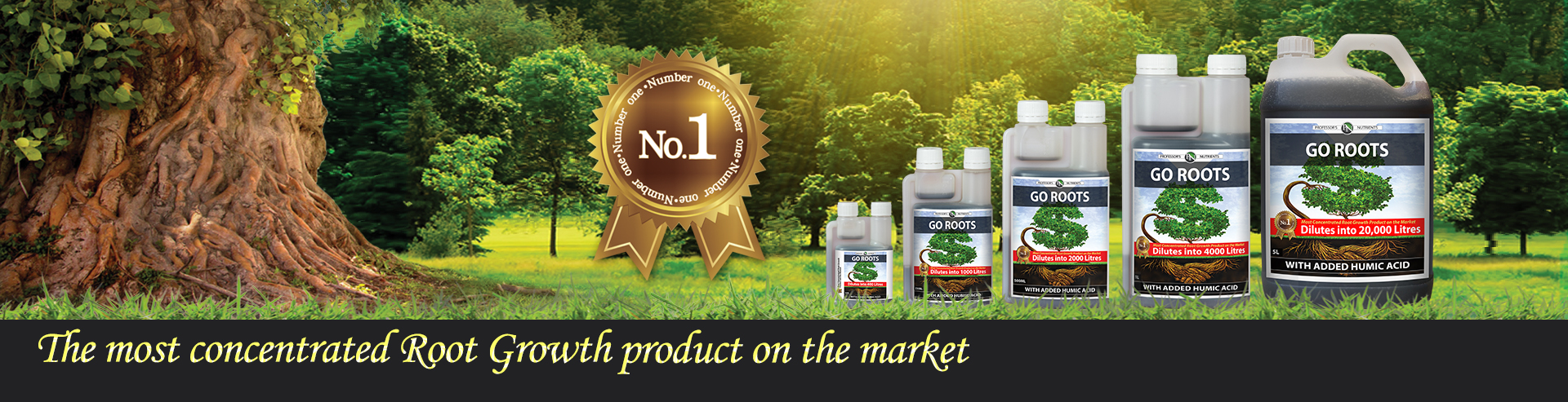 Welcome to Professor’s Nutrients - Professor's Nutrients